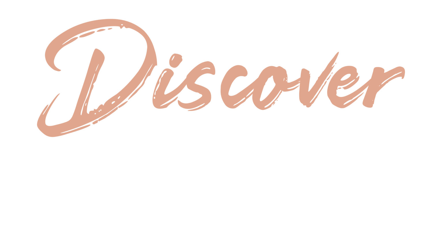 The Discovery Cardiff - The Discovery Cardiff